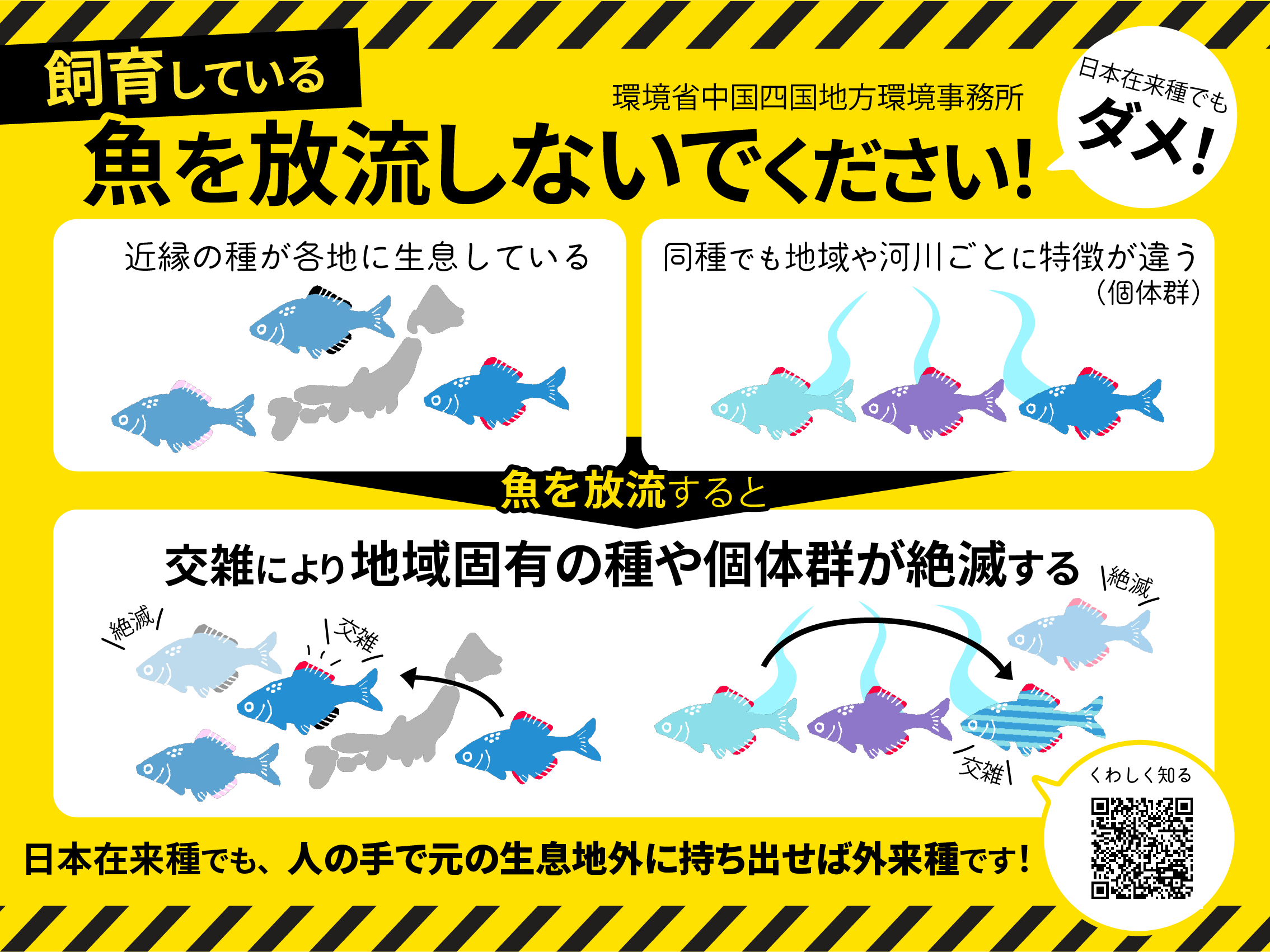 生き物を野外に放すことは絶対にやめてください／伊丹市 6333